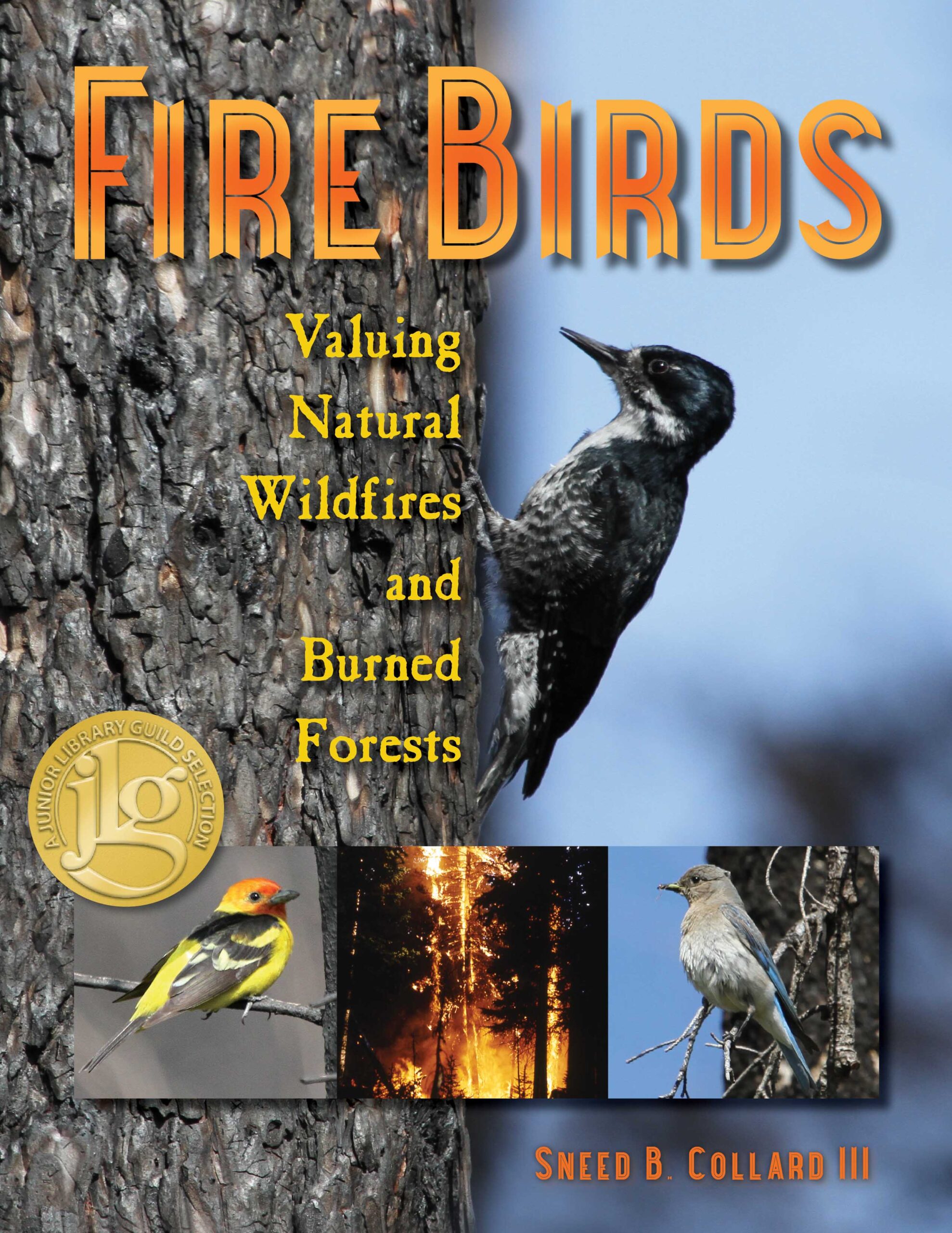 FatherSonBirding | Sharing the Passion of Birds and Birding