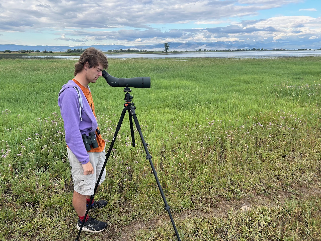FatherSonBirding | Sharing the Passion of Birds and Birding