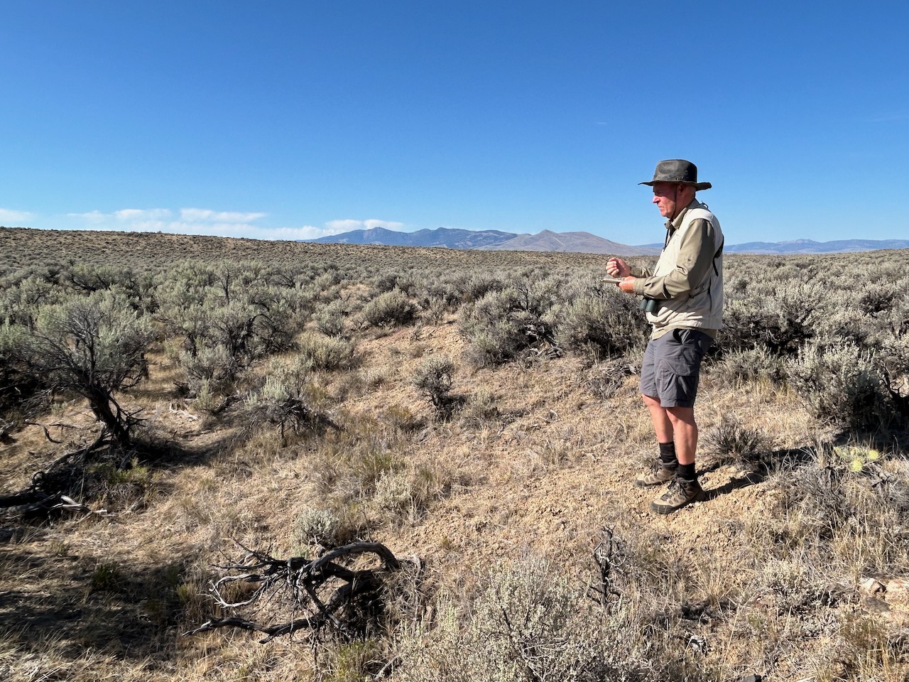 Jeff Marks edge of gulch channel | FatherSonBirding