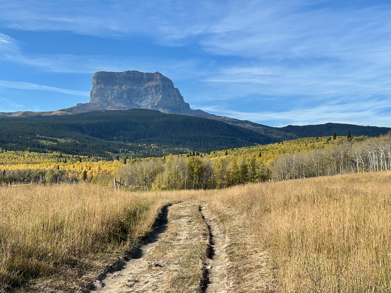Chief Mountain | FatherSonBirding